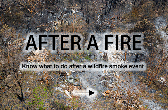 Wildfires Landing Page | AirNow.gov